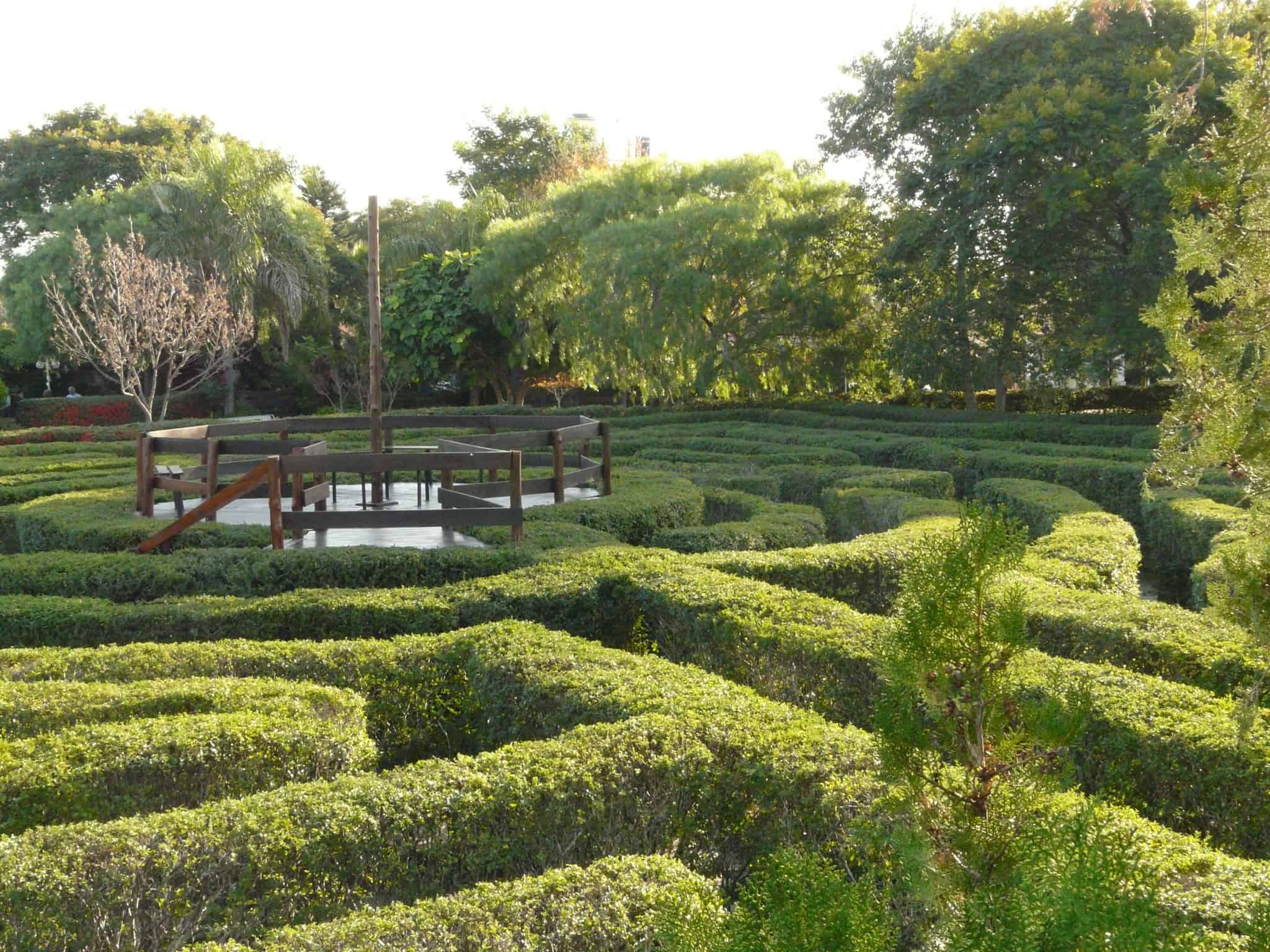 Laberinto – Termas de Federación