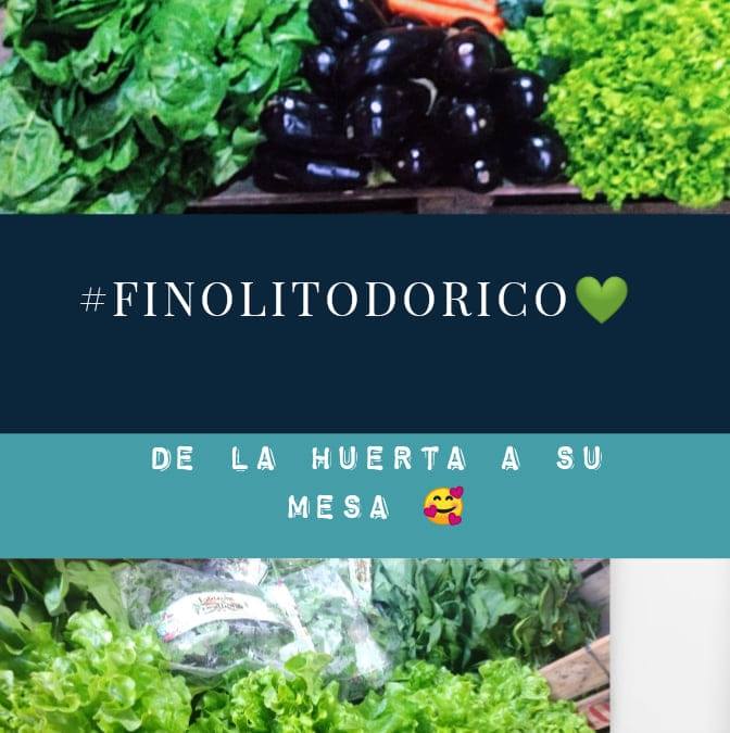 Finoli – Termas de Federación